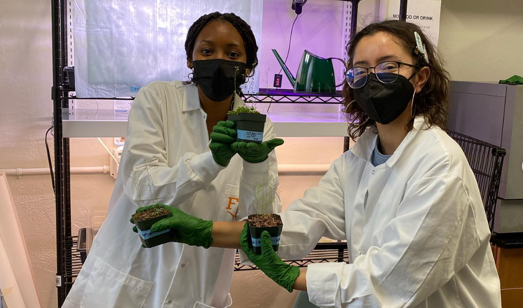 Bioprospecting | Freshman Research Initiative