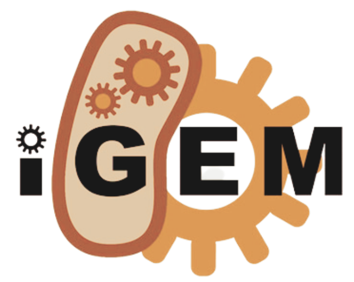 Research Streams | Freshman Research Initiative